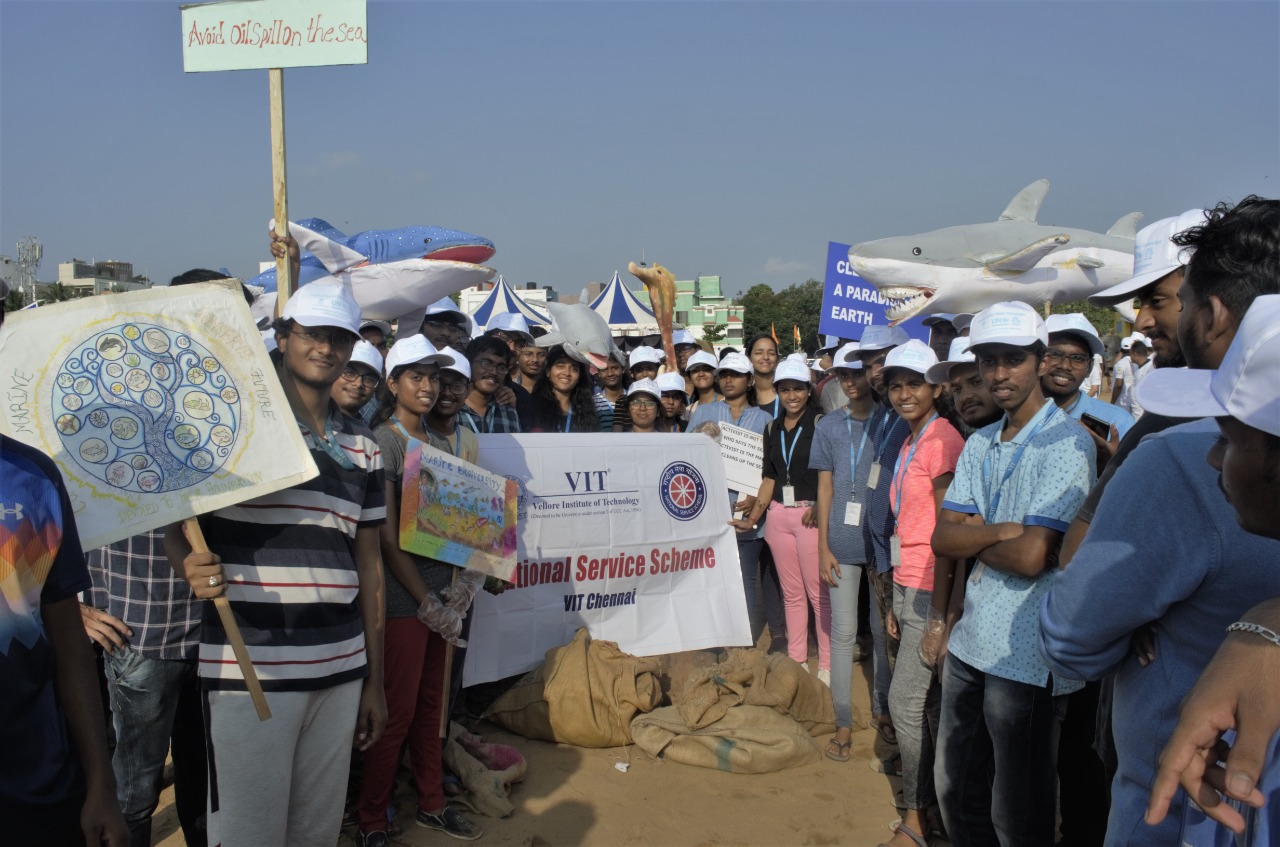 iPortfolio Bootstrap Template - Index